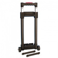 Removable case trolley store
